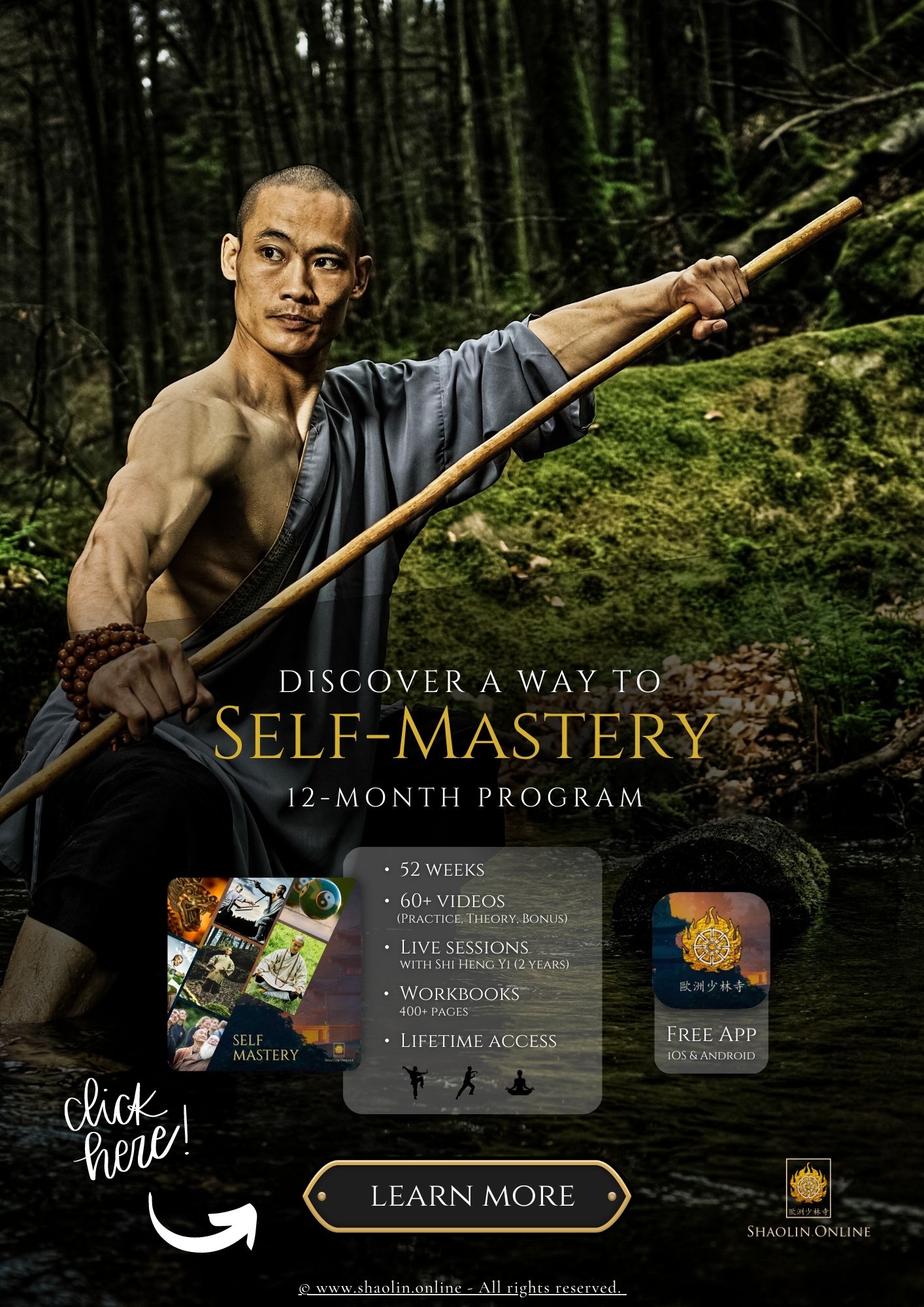 12-Month Self-Mastery Program